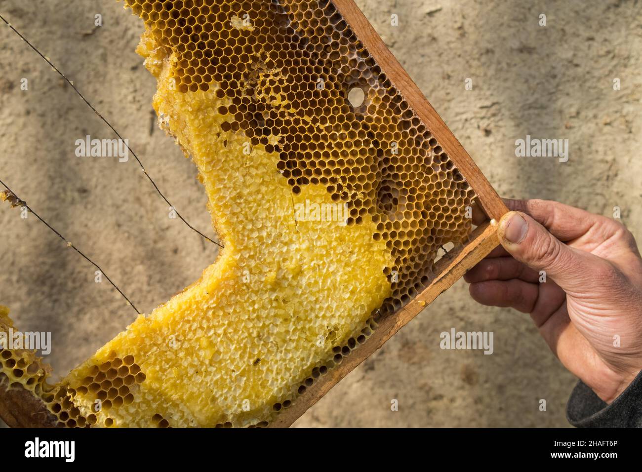 Close up beehive apiary wooden hi-res stock photography and images - Alamy