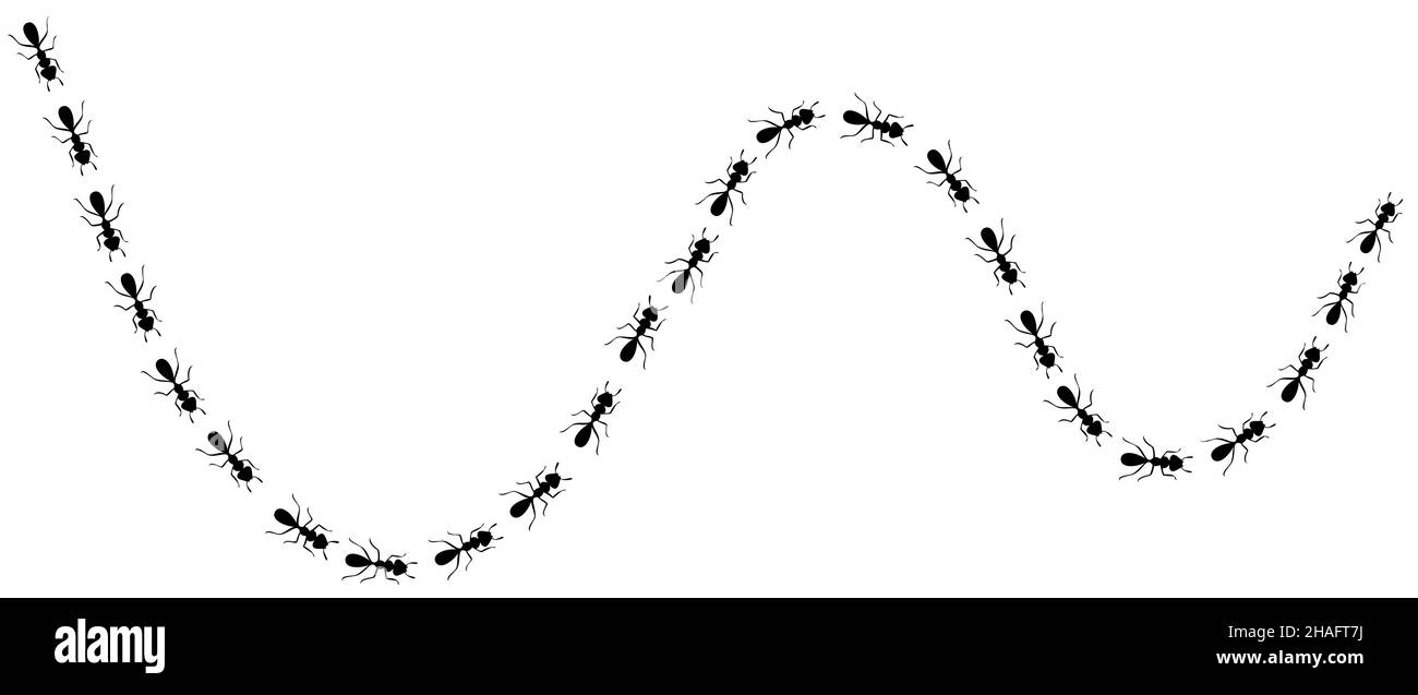 Ants trail with location icons. Route or path isolated in white background. Vector illustration ...