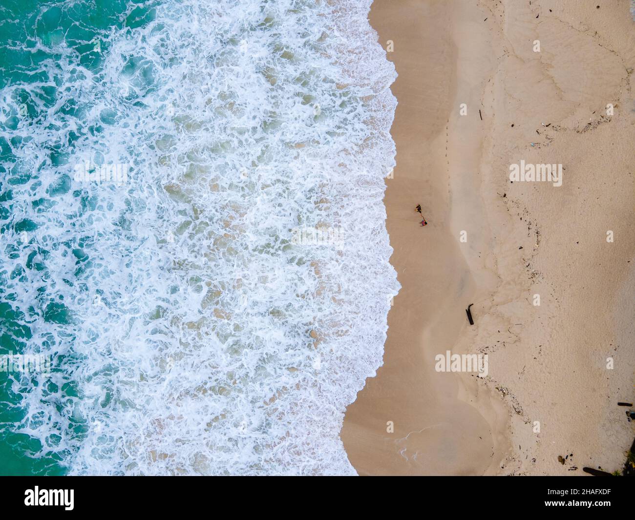 Freedom beach in Phuket Thailand. tropical beach with palm trees and ...