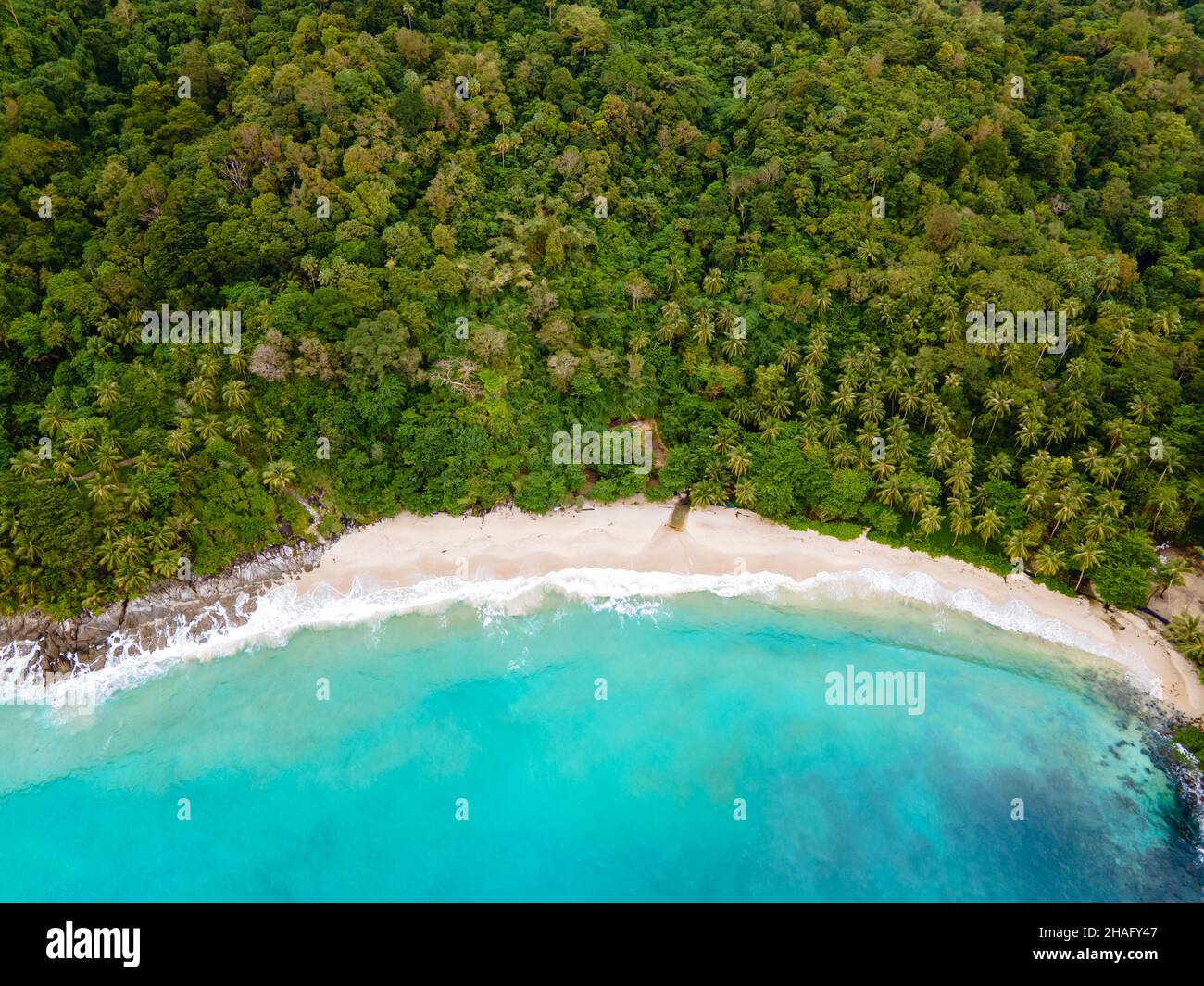 Freedom beach in Phuket Thailand. tropical beach with palm trees and ...