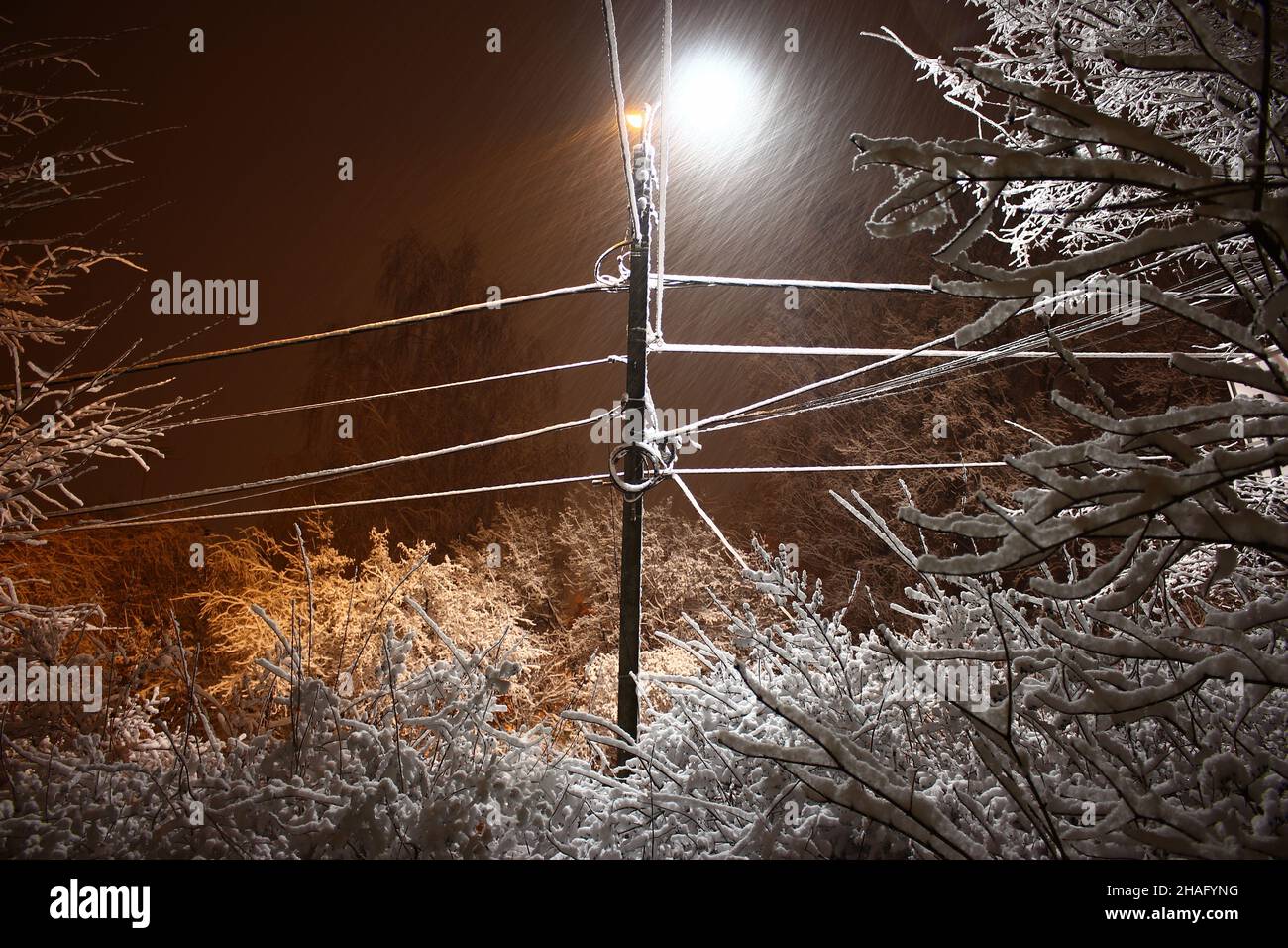 Snowfall in the light of an electric street lamp at night, bushes and ...