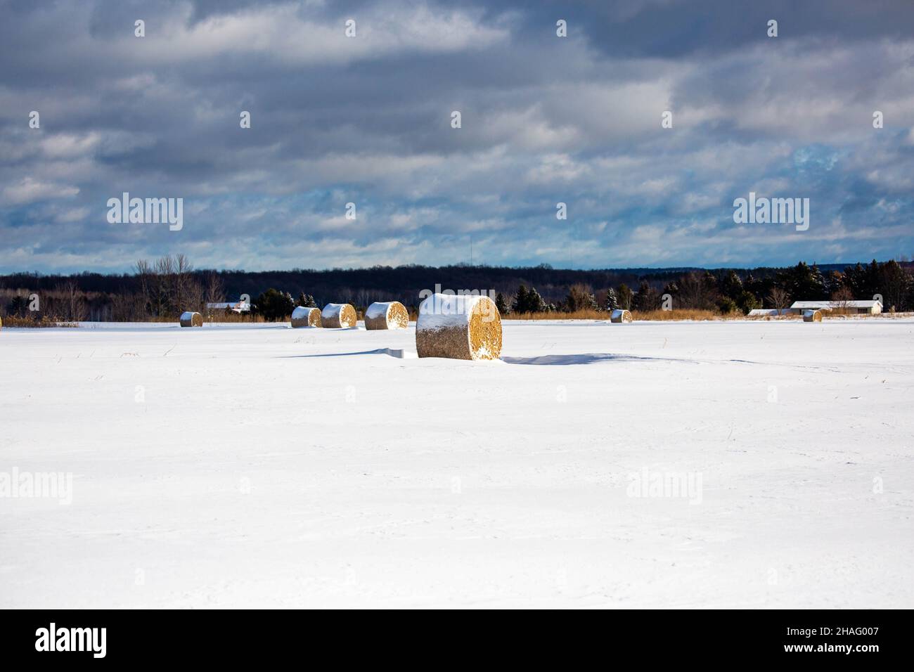 Hayfield winter hi-res stock photography and images - Alamy