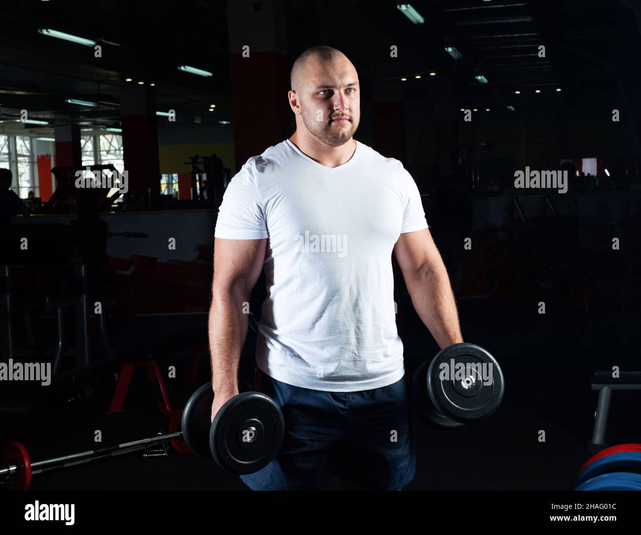 Male bodybuilder engaged with dumbbells in the gym Stock Photo - Alamy