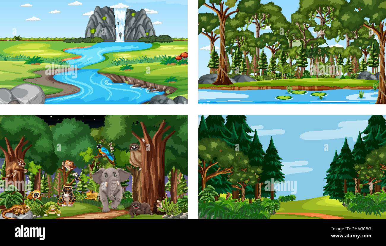 Nature Scenery With Animals The Wild Animals Photo Has Been Taken In