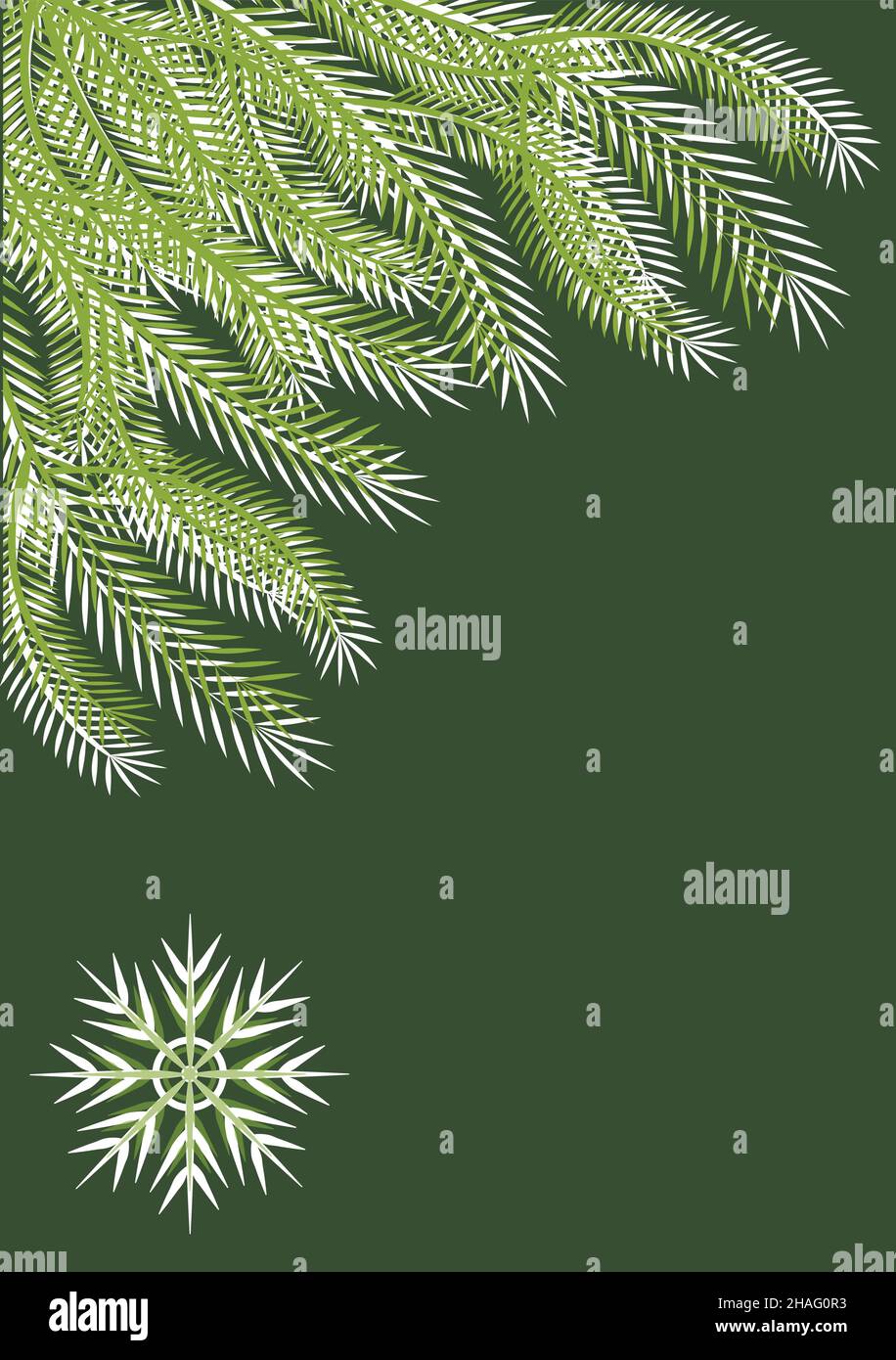 Illustration on A4 format - spruce branch, New Year card. Design ...