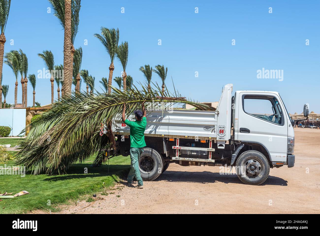 Carrying palm leaves hi-res stock photography and images - Alamy
