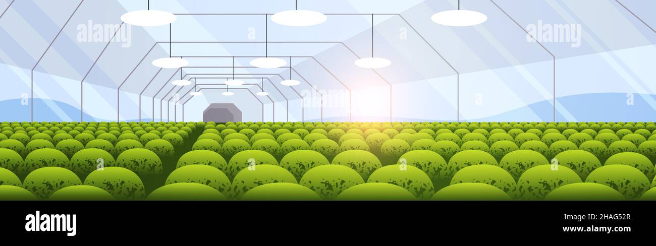 industrial plantation growing plants smart farming agribusiness concept ...