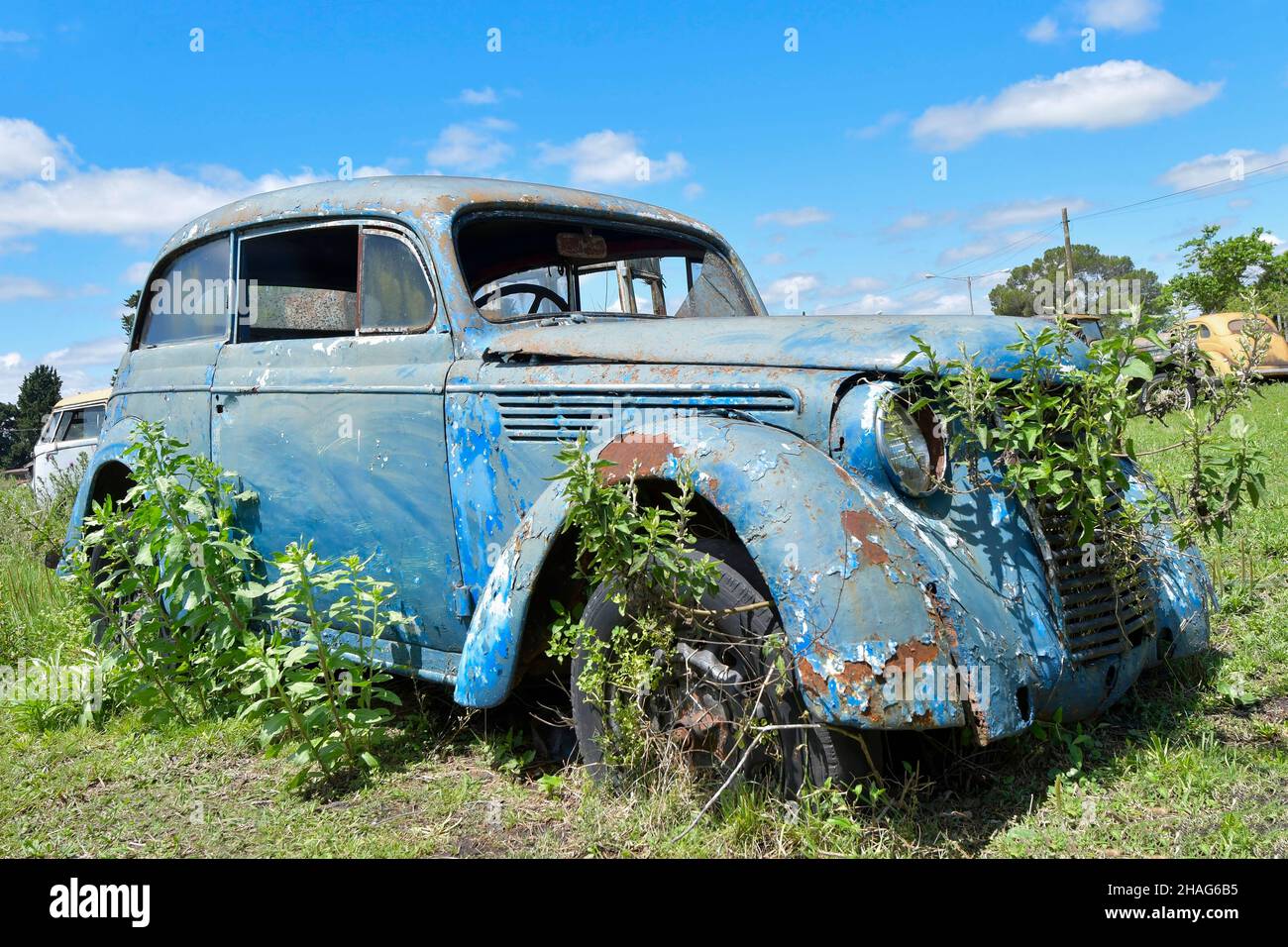 Abandoned and deteriorated old vehicles in Uruguay Stock Photo - Alamy