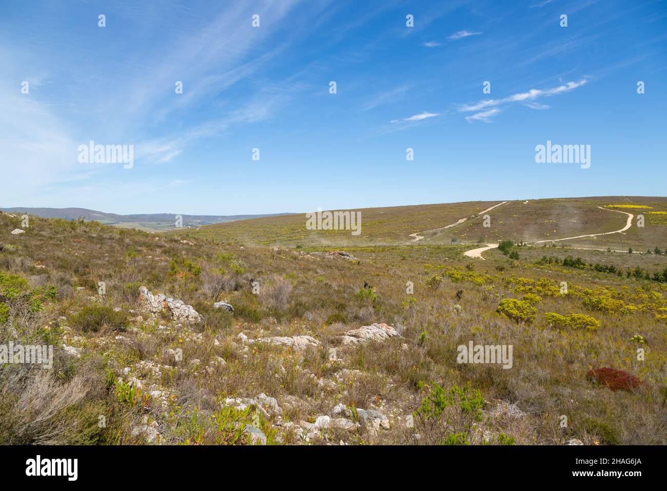 Panorama of the Fynbos landscape near Stanford in the Western Cape of ...