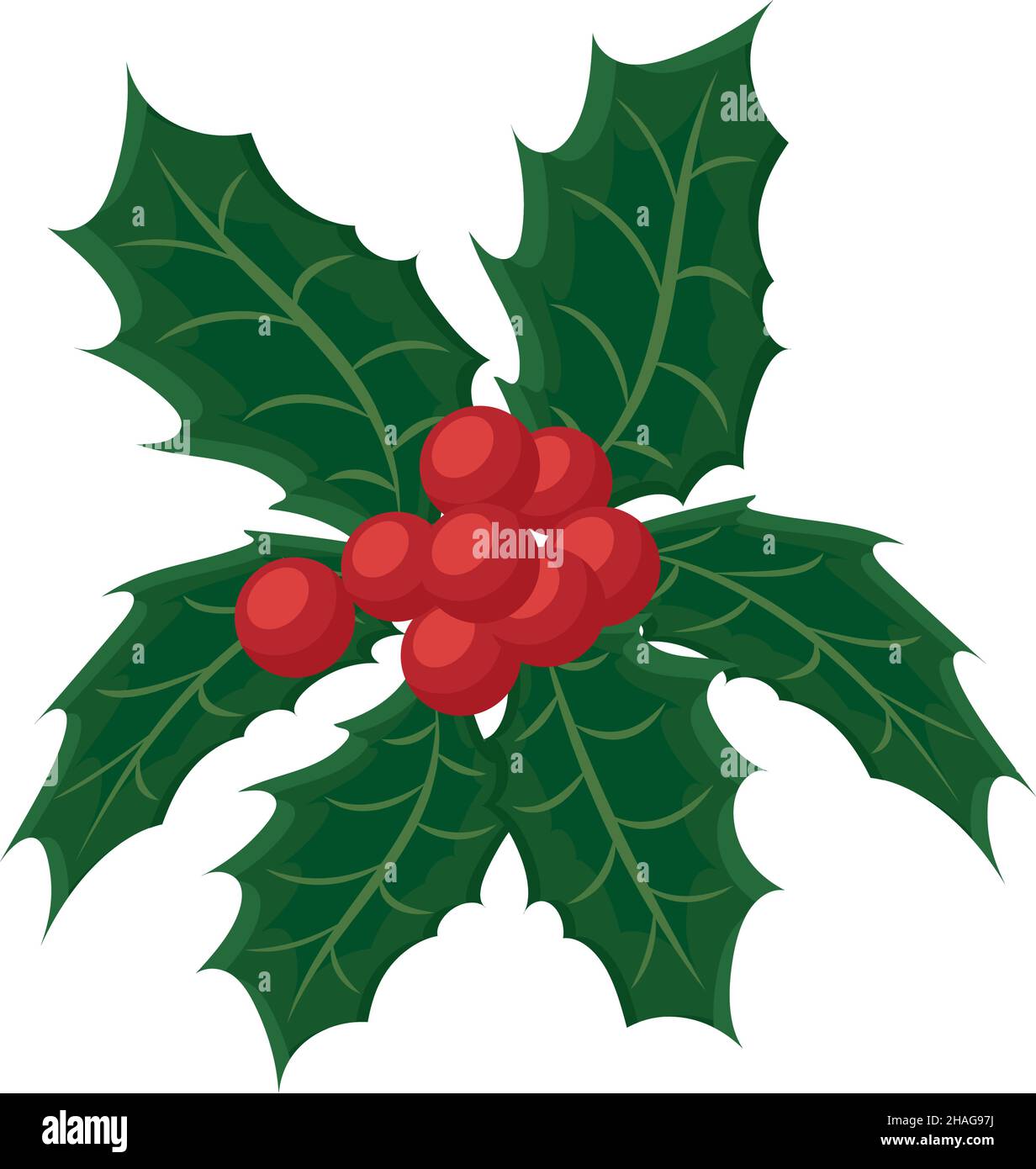mistletoe plant design Stock Vector Image & Art - Alamy