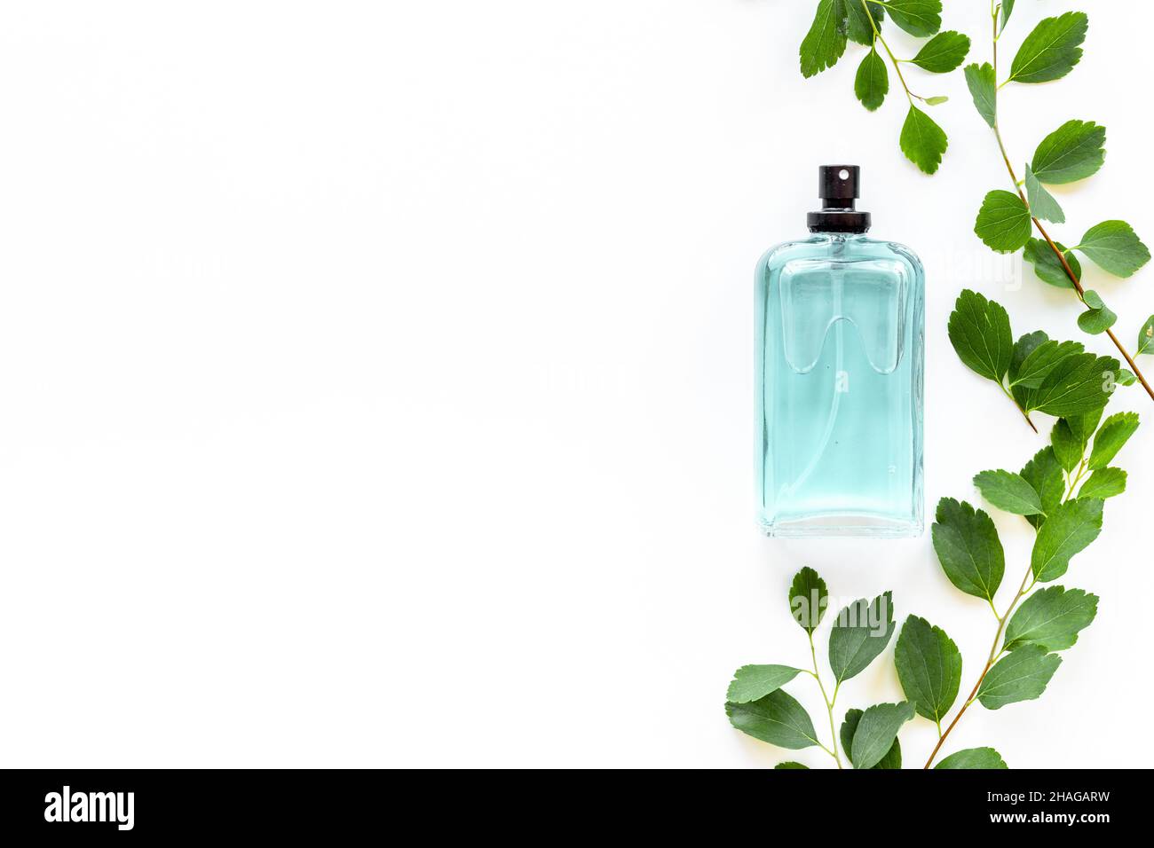 Agar wood tree with arabian oud oil perfume Stock Photo - Alamy