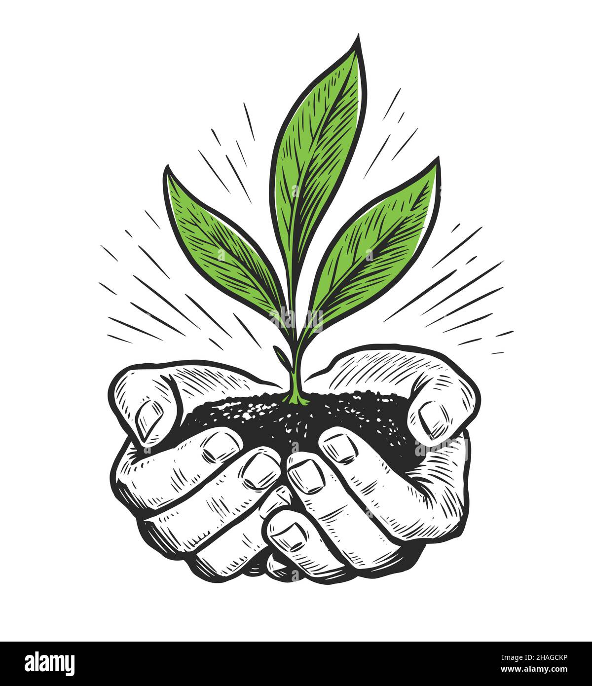 Hands with plant. Save nature. Growing agriculture sprout. Sketch hand ...