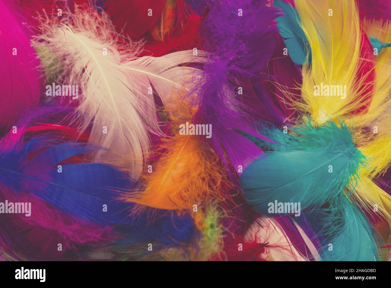 Colorful feather background. Top view Stock Photo - Alamy