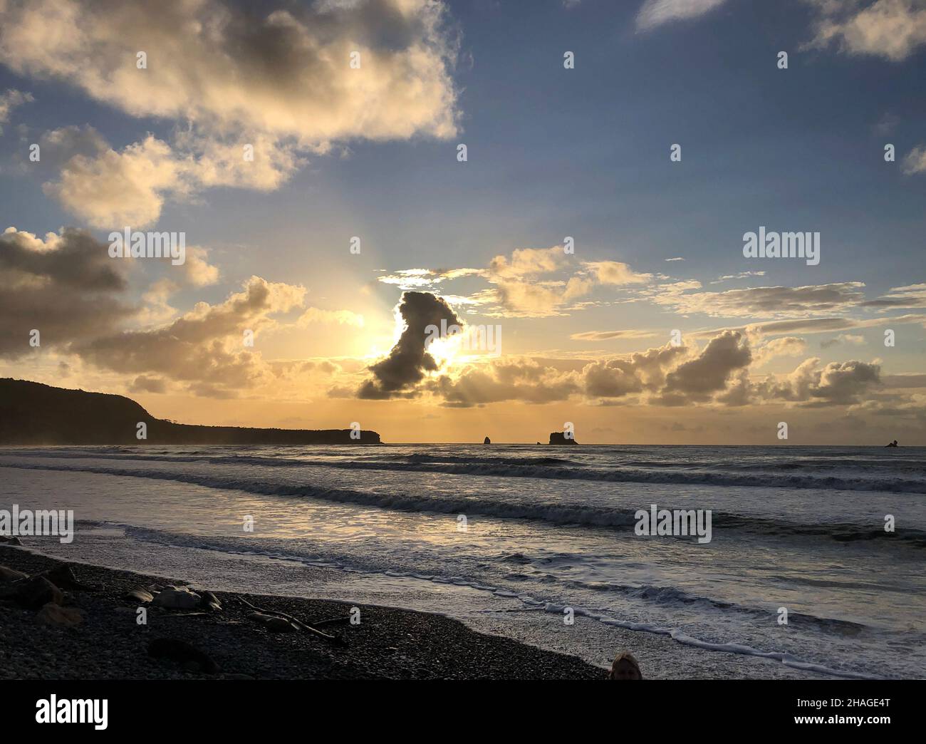 Temperate Rain Forest Canopy - West Coast South Island New Zealand ...