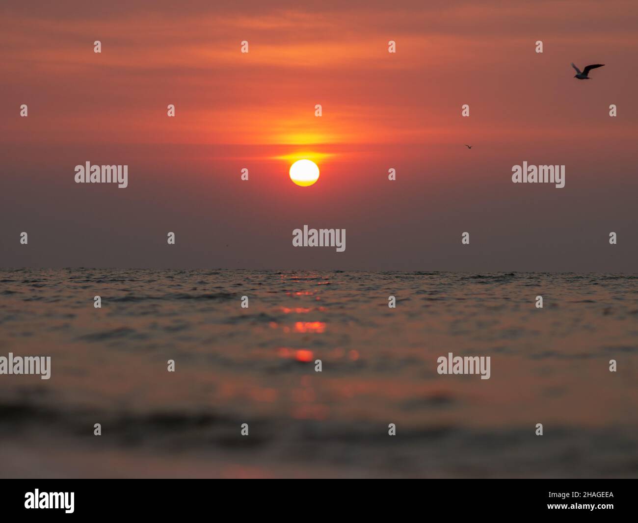 Beautiful sunset on a beach. Summer sunset and sea waves Stock Photo ...
