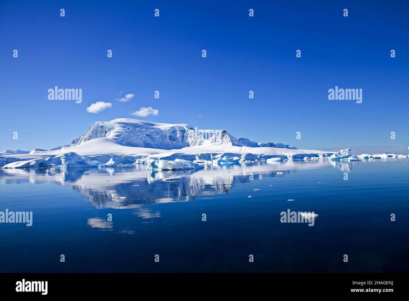 Wilhelmina Bay is a bay 24 kilometres (15 mi) wide between the Reclus ...