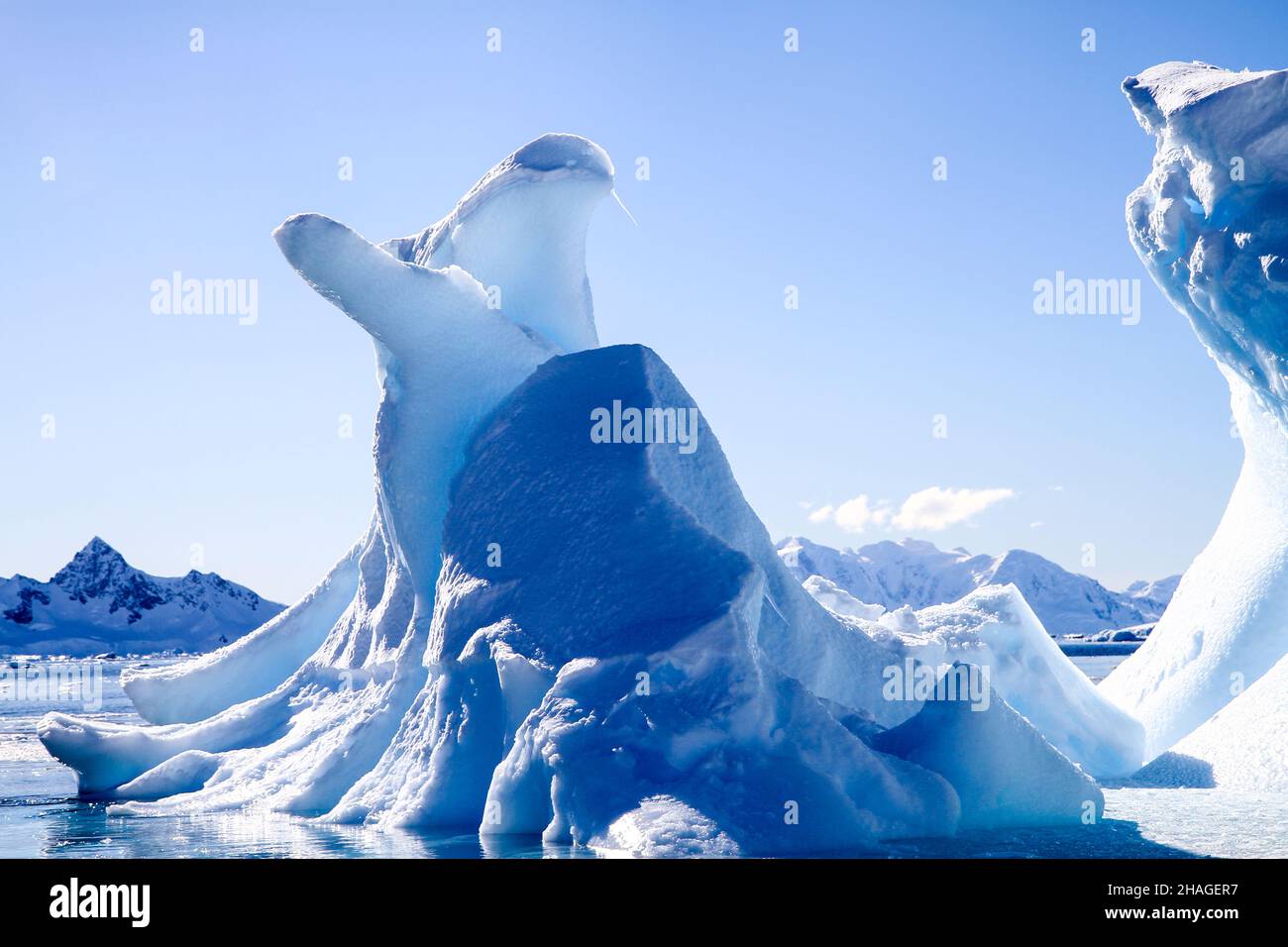 Wilhelmina Bay is a bay 24 kilometres (15 mi) wide between the Reclus ...