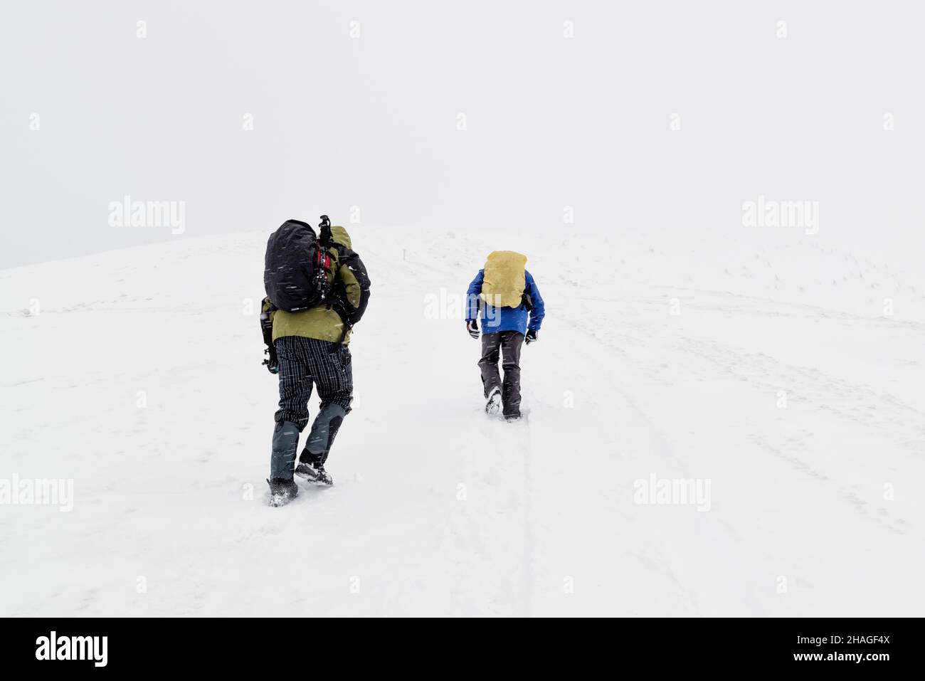 Hikers going up to the mountains in deep snow and bad weather ...