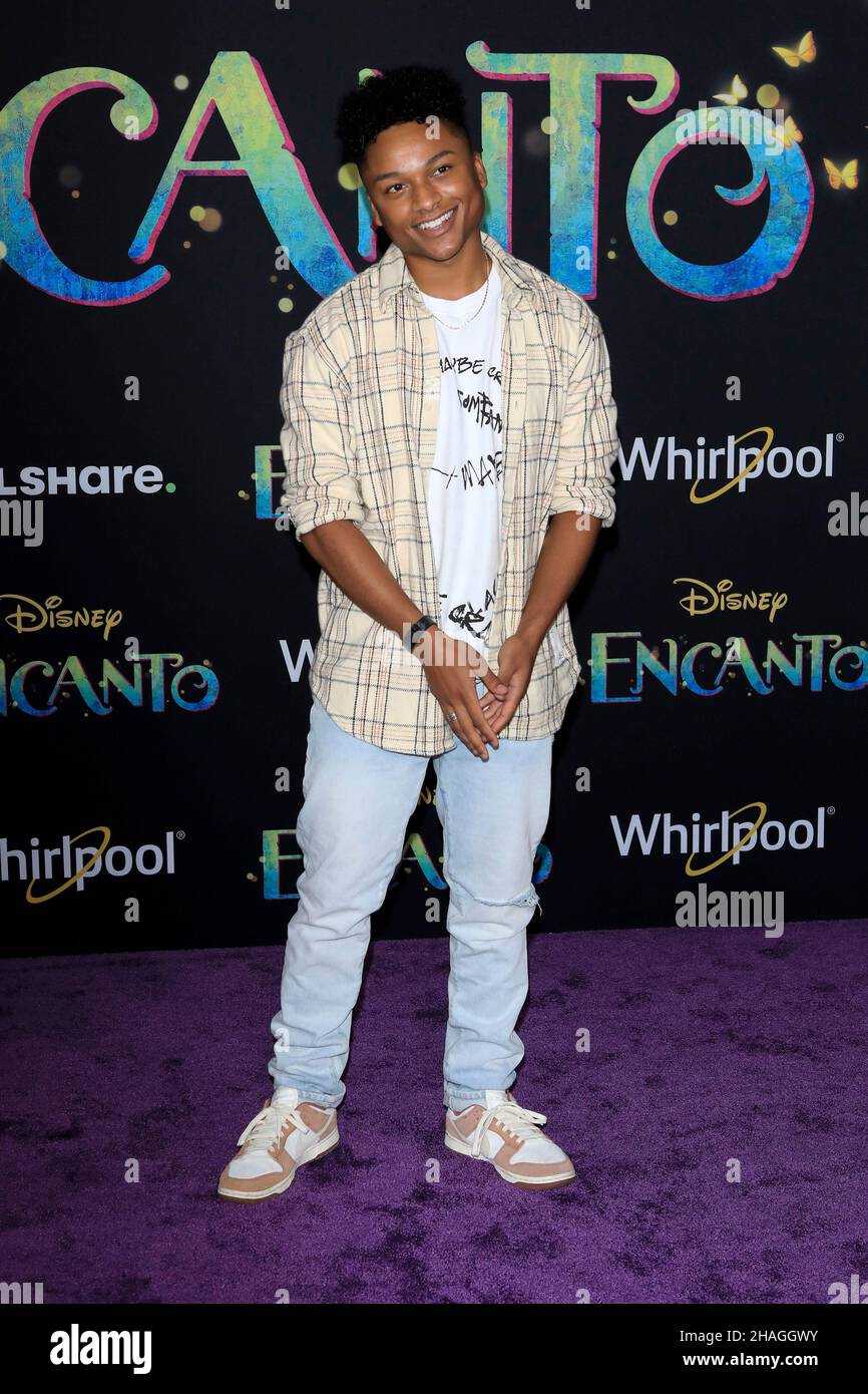 LOS ANGELES - NOV 3: Andre Swilley at Encanto World Premiere at El ...