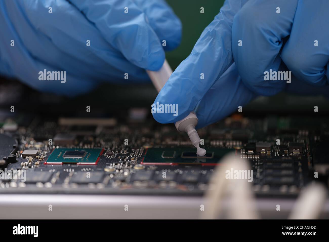 Gloved hands hold thermal paste on a laptop chip Stock Photo - Alamy