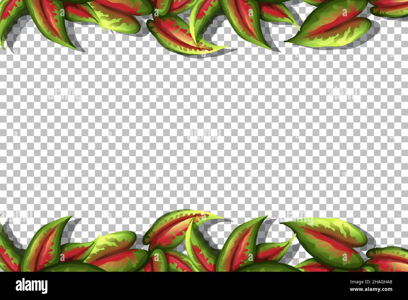 Green nature leaves frame transparent background illustration Stock ...