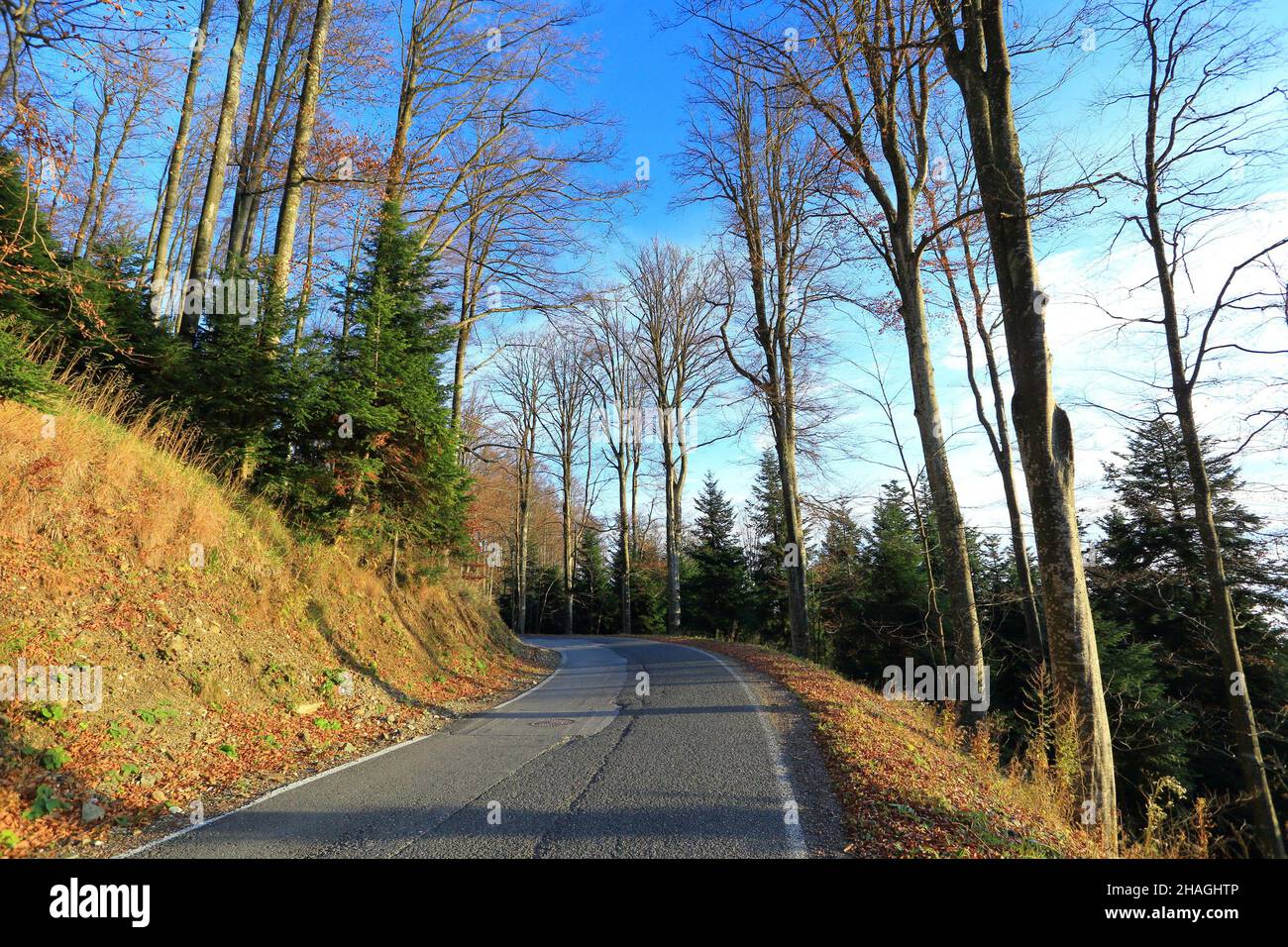 Mountain road covered with shadows and sunlight Stock Photo - Alamy