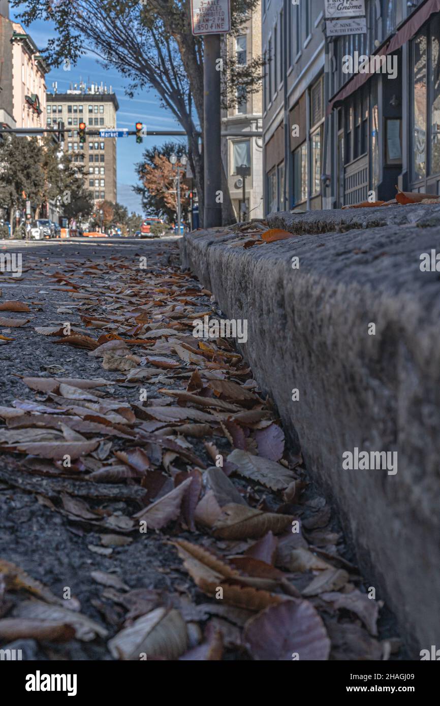 Vertical shot of a street with fallen dry leaves and highrise buildings ...