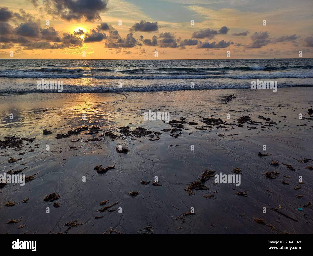 Backwater of Kerala-Gods own country Stock Photo - Alamy