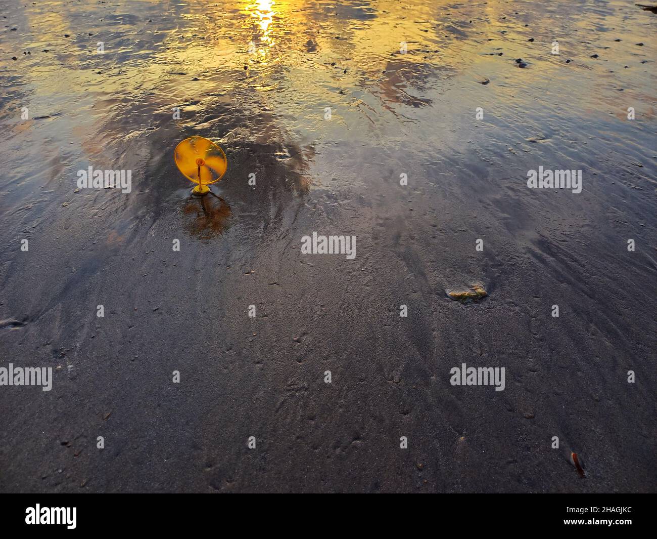 Backwater of Kerala-Gods own country Stock Photo - Alamy