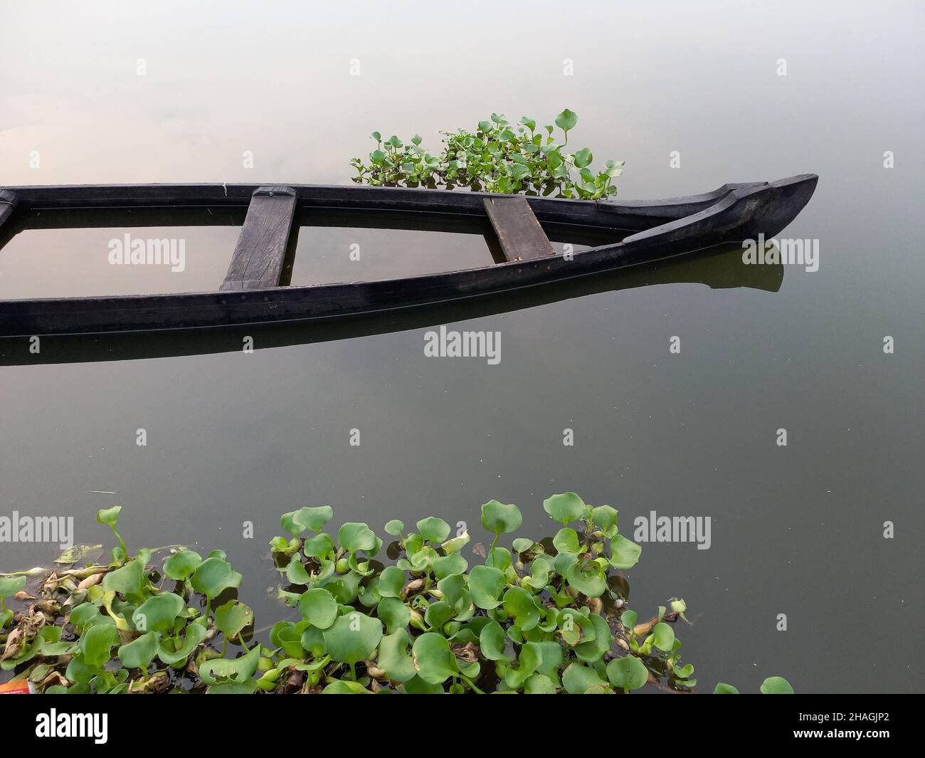 Backwater of Kerala-Gods own country Stock Photo - Alamy