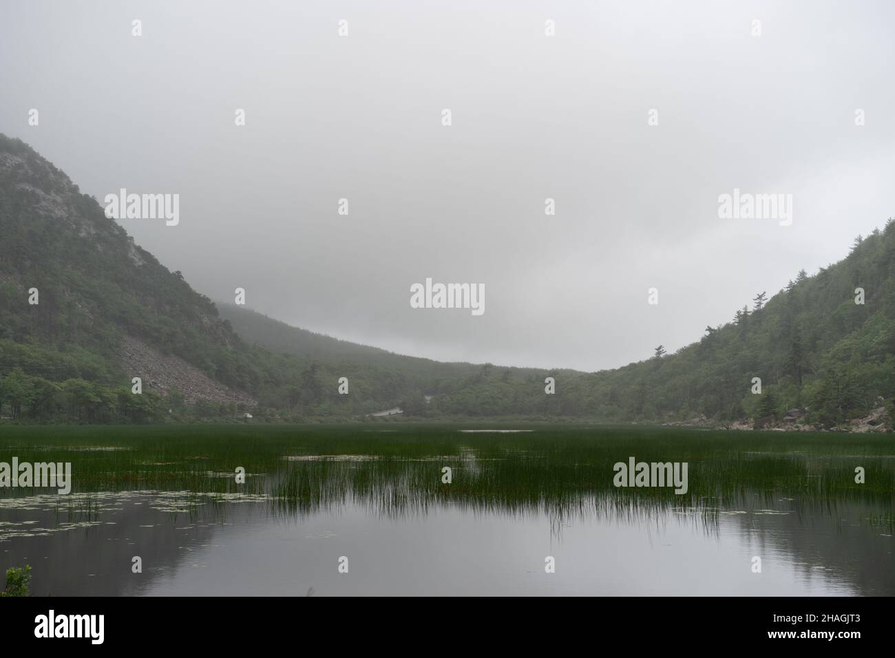 Lke surrounded by hills and greenery covered in the fog in Acadia ...