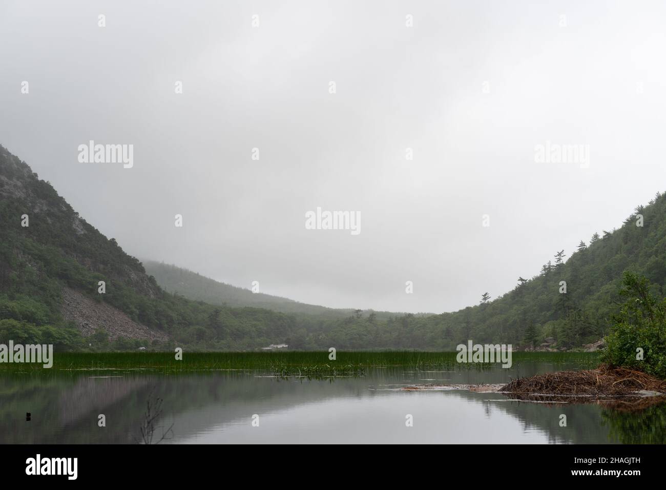 Lake surrounded by hills and greenery covered in the fog in Acadia ...