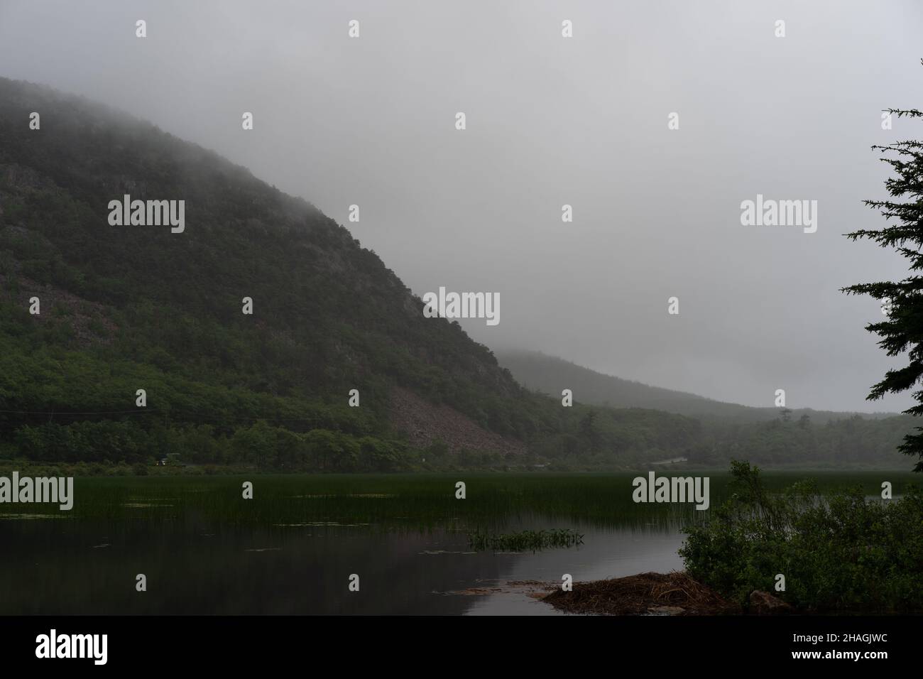 Lake surrounded by hills and greenery covered in the fog in Acadia ...