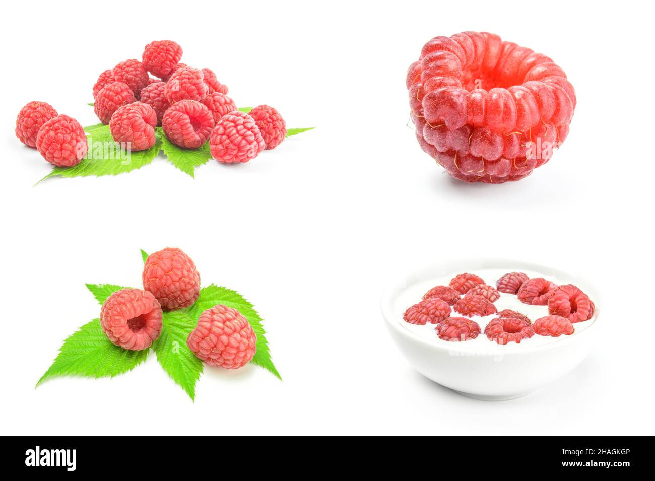 Collage of ripe red raspberries on a isolated white background Stock ...