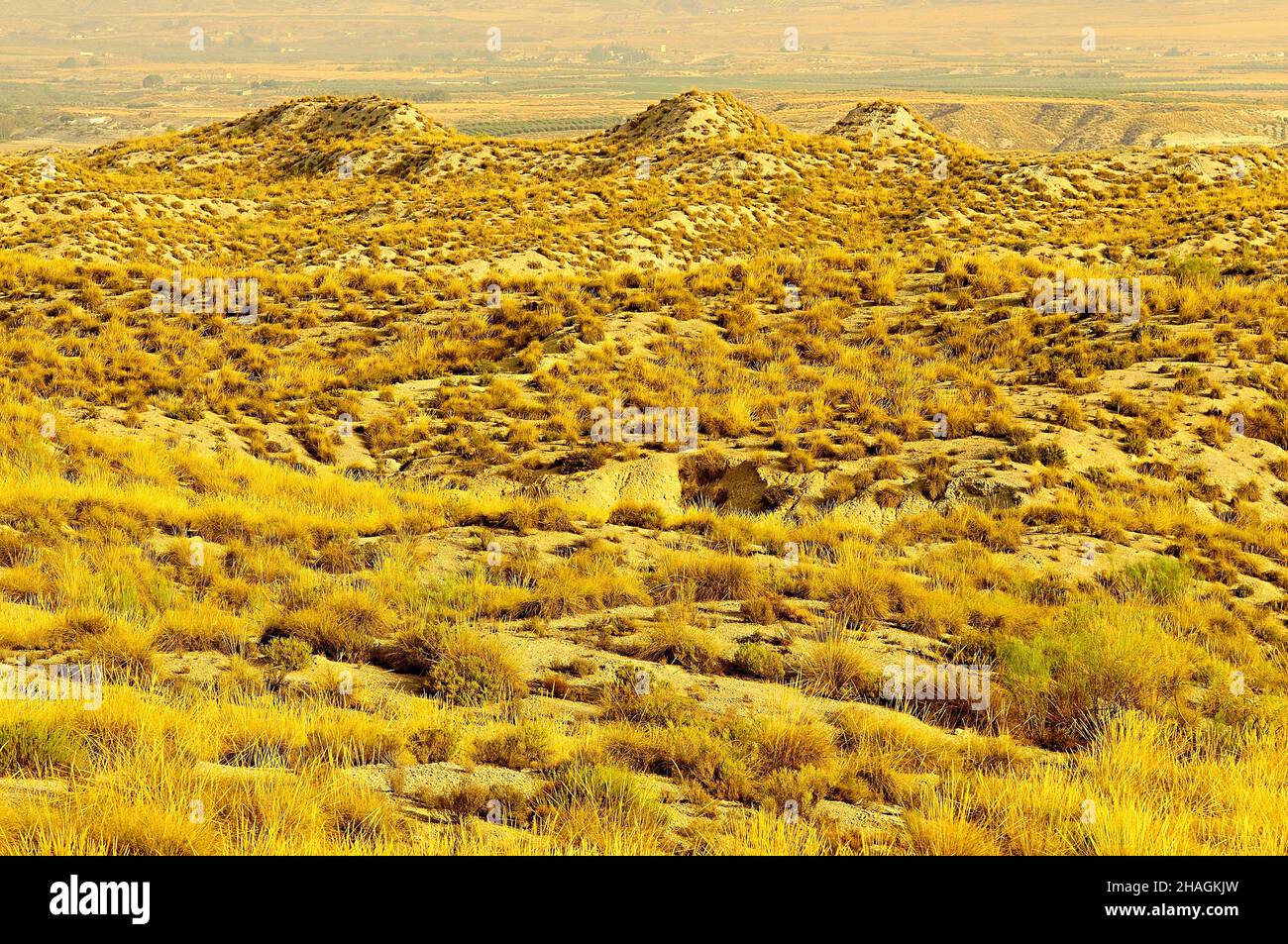 Last steppes in the fields of Granada Stock Photo - Alamy