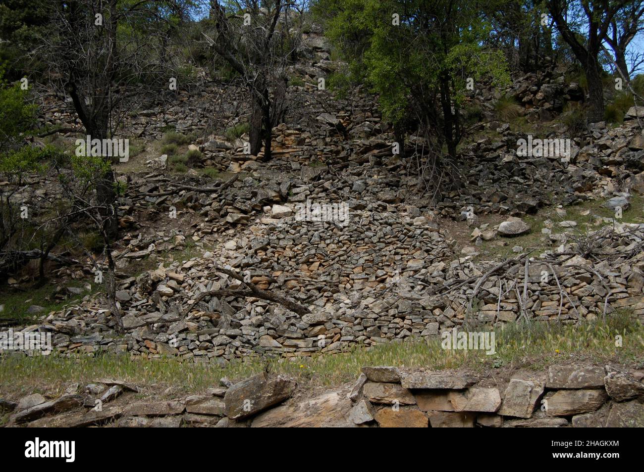 Terraced fields with slate stone Stock Photo - Alamy