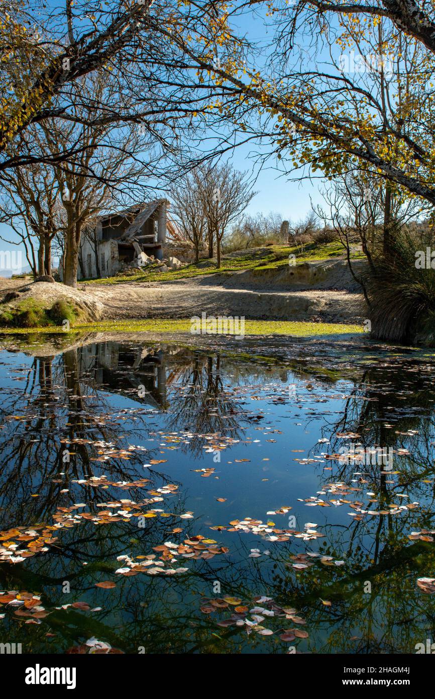 Landscape with reflections in the water pond Stock Photo - Alamy