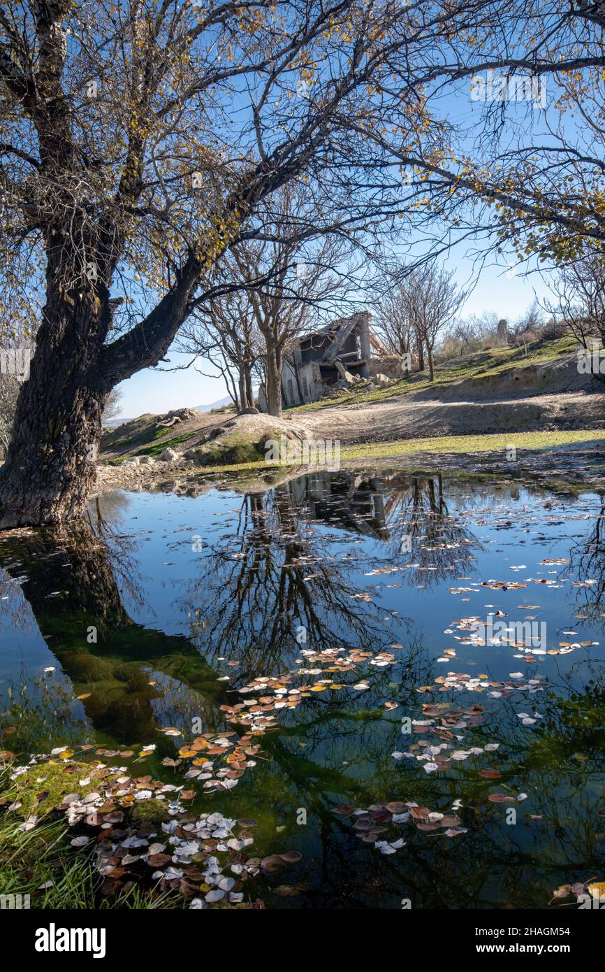 Landscape with reflections in the water pond Stock Photo - Alamy