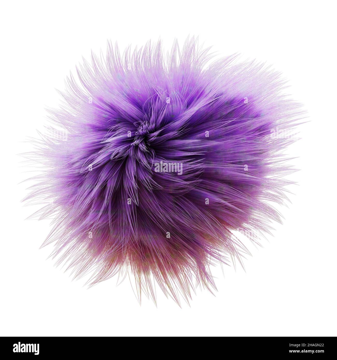fluffy ball, furry purple sphere isolated on white background Stock ...