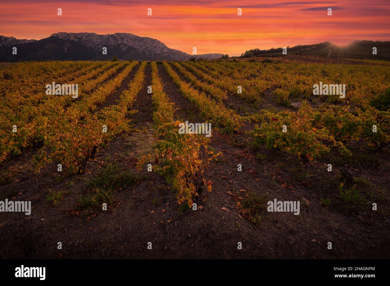 Aoc maury hi-res stock photography and images - Alamy