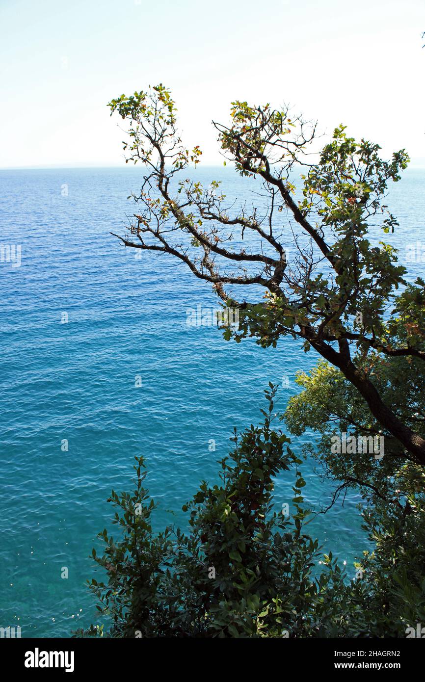 View from Icici's seaside promenade, harbor and beach, Adriatic coast ...