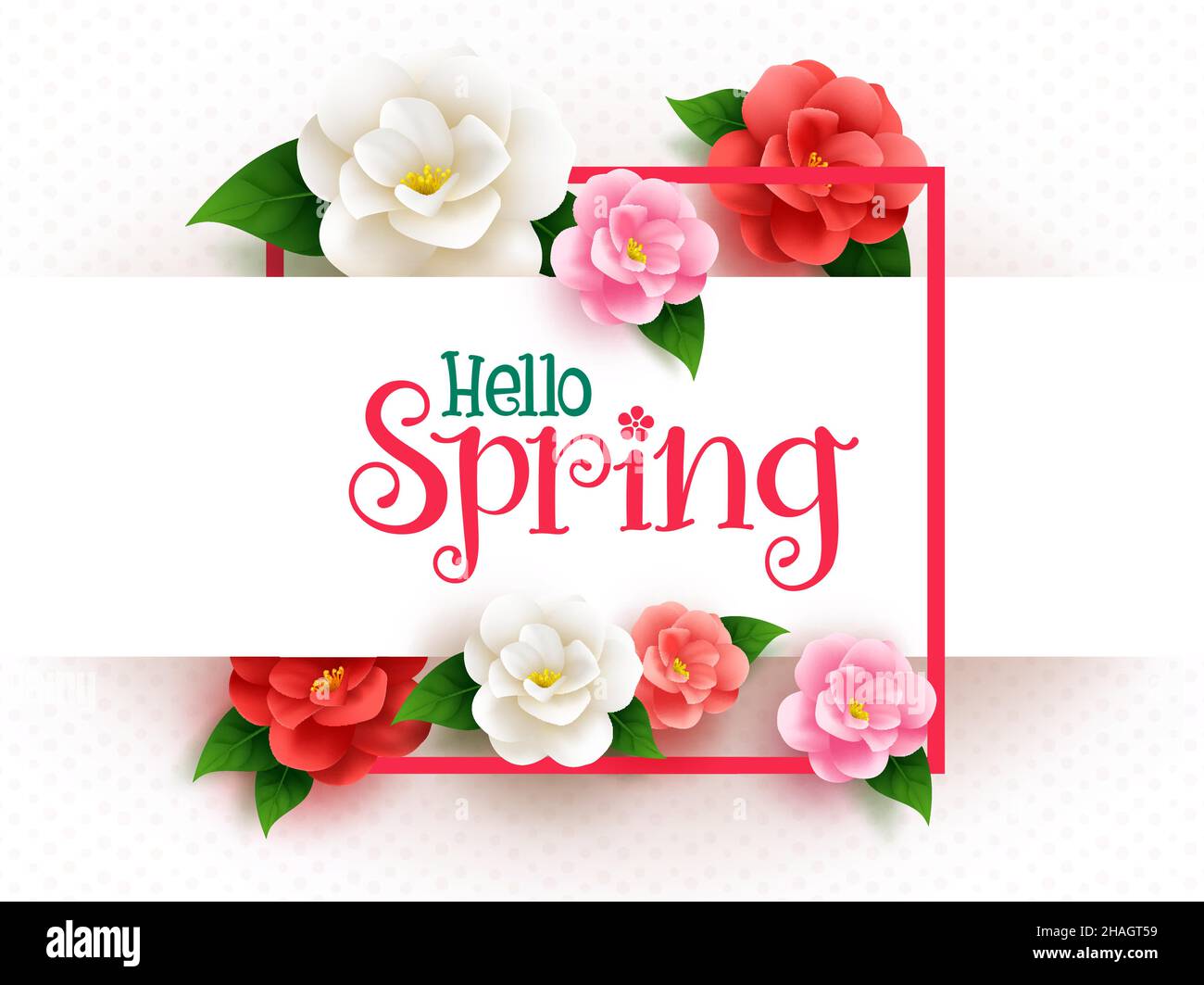 Red and white camellia Stock Vector Images - Alamy