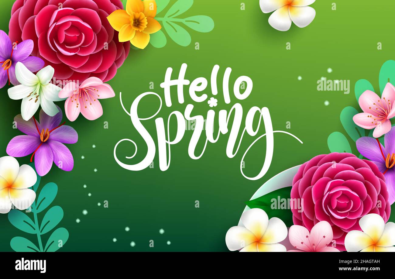 Lily green leaves in Stock Vector Images - Alamy