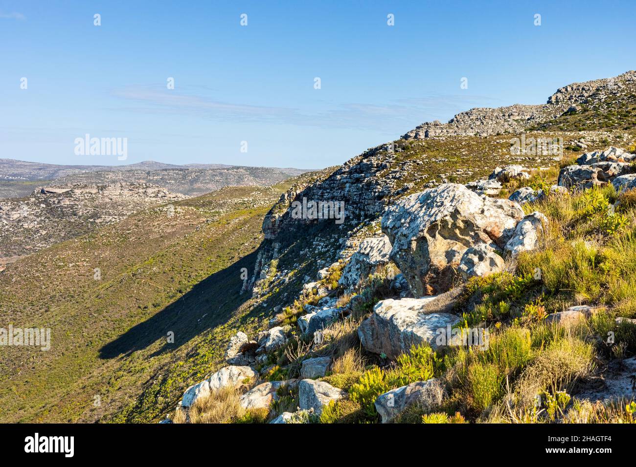Rugged mountain landscape with fynbos scrub bush flora in Cape Town ...