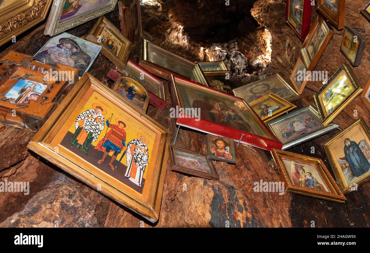 Chapel built in a tree in Kutaisi, Georgia Stock Photo - Alamy