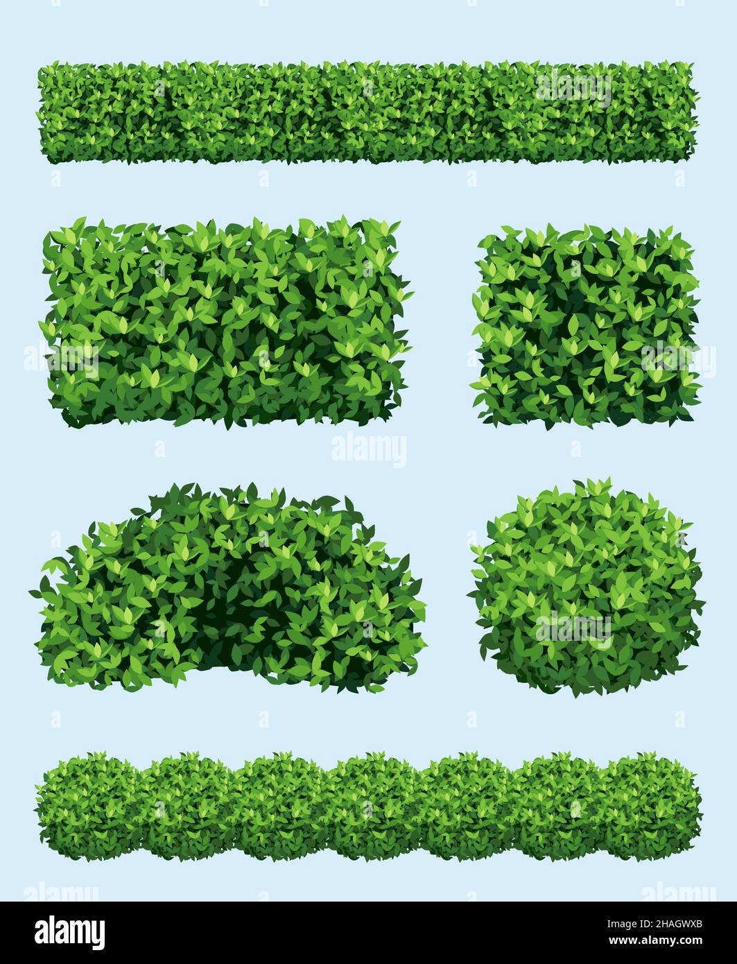 Green shrub. Realistic garden plants different geometric forms ornament ...