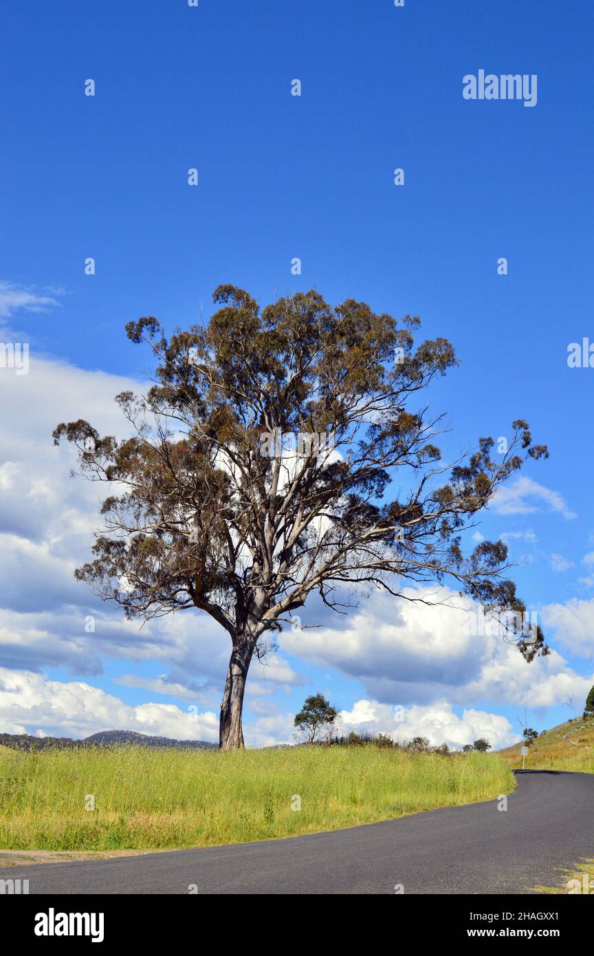 Rual scenery hi-res stock photography and images - Alamy