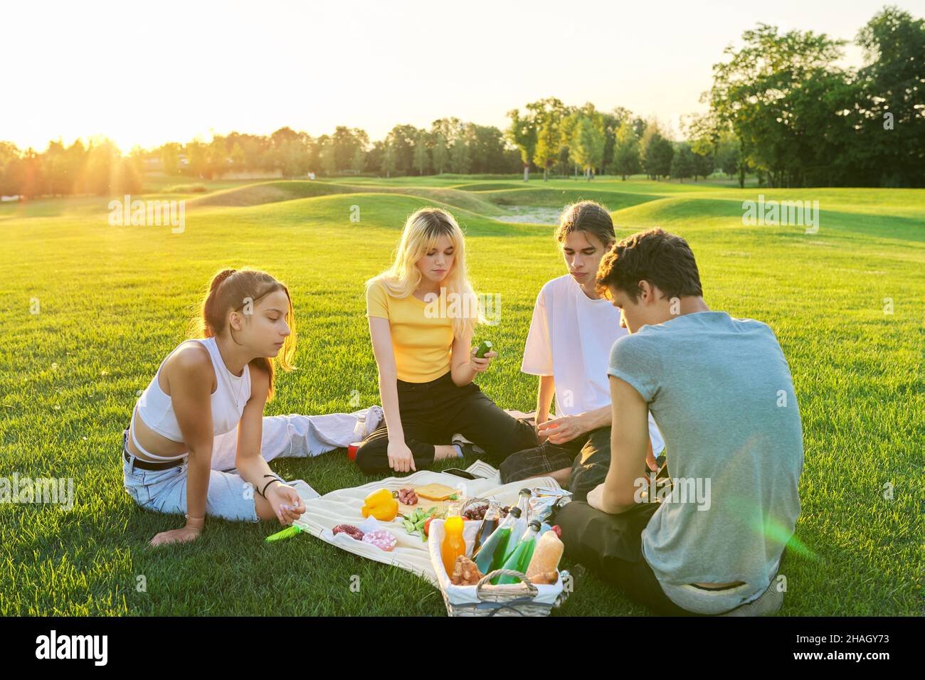 Group of friends having picnic in park hi-res stock photography and ...