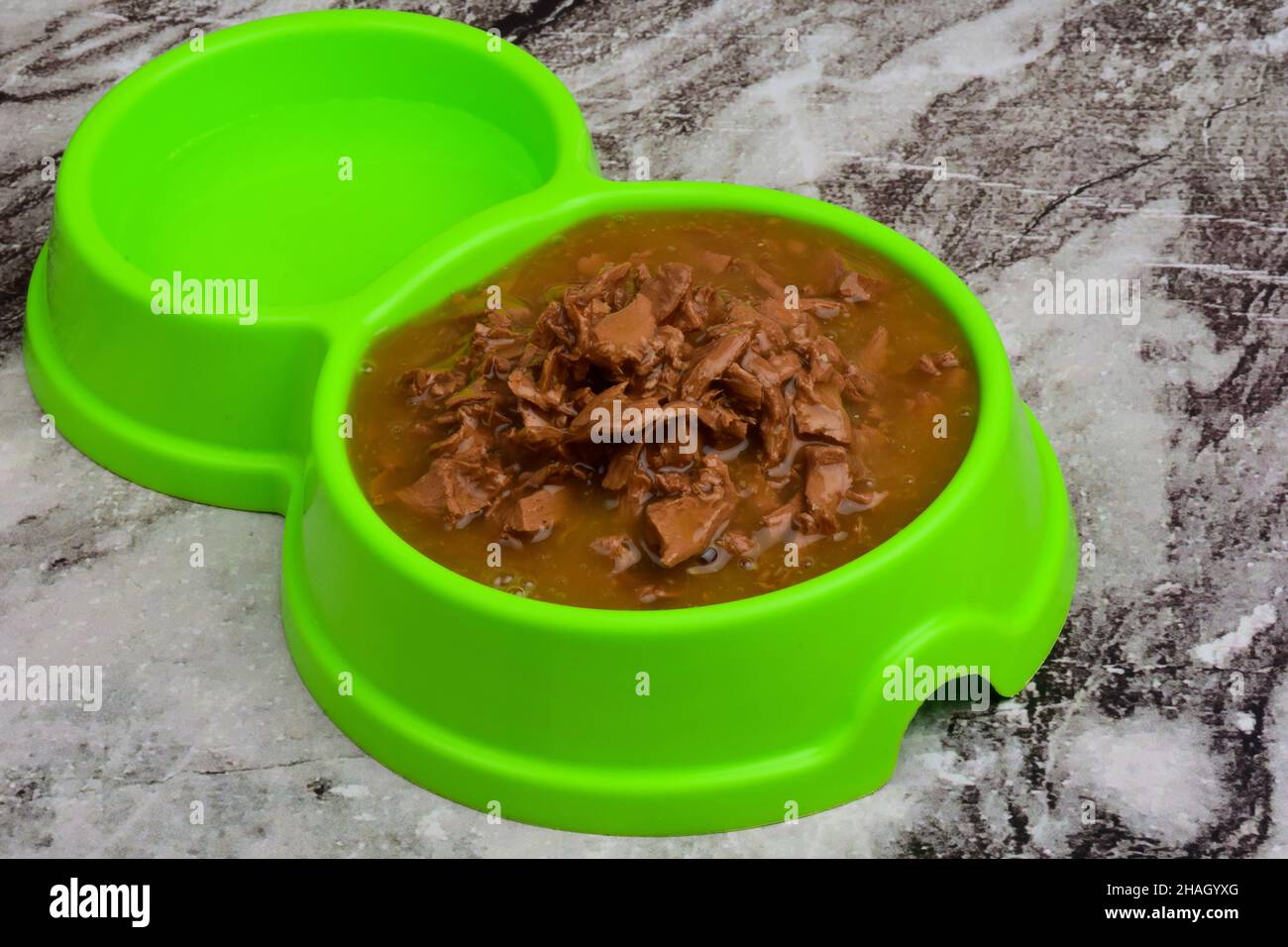 Wet Cat Food Gross