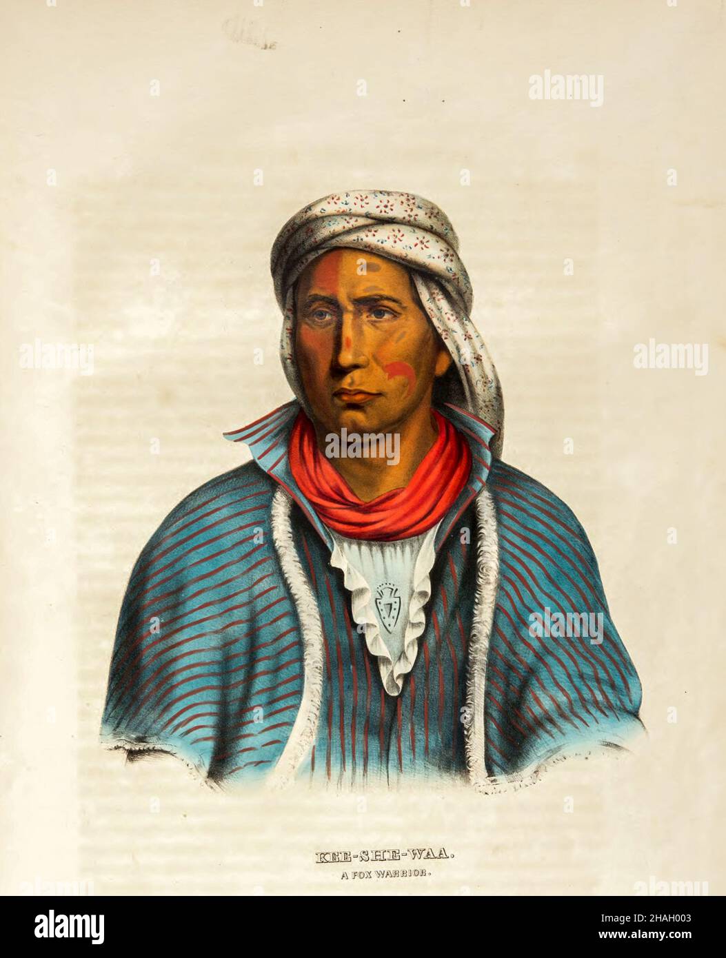 Chief red fox hi-res stock photography and images - Alamy